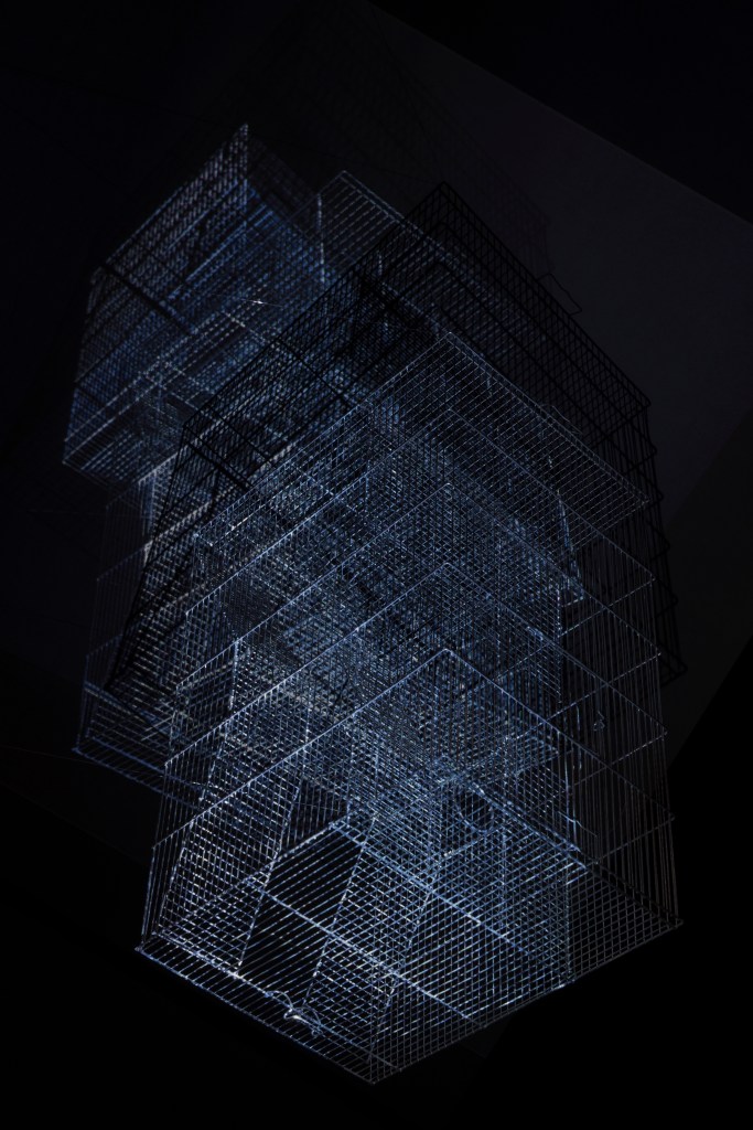 La dimension cachée, par Stéphanie Roland, photographe, plasticienne ...