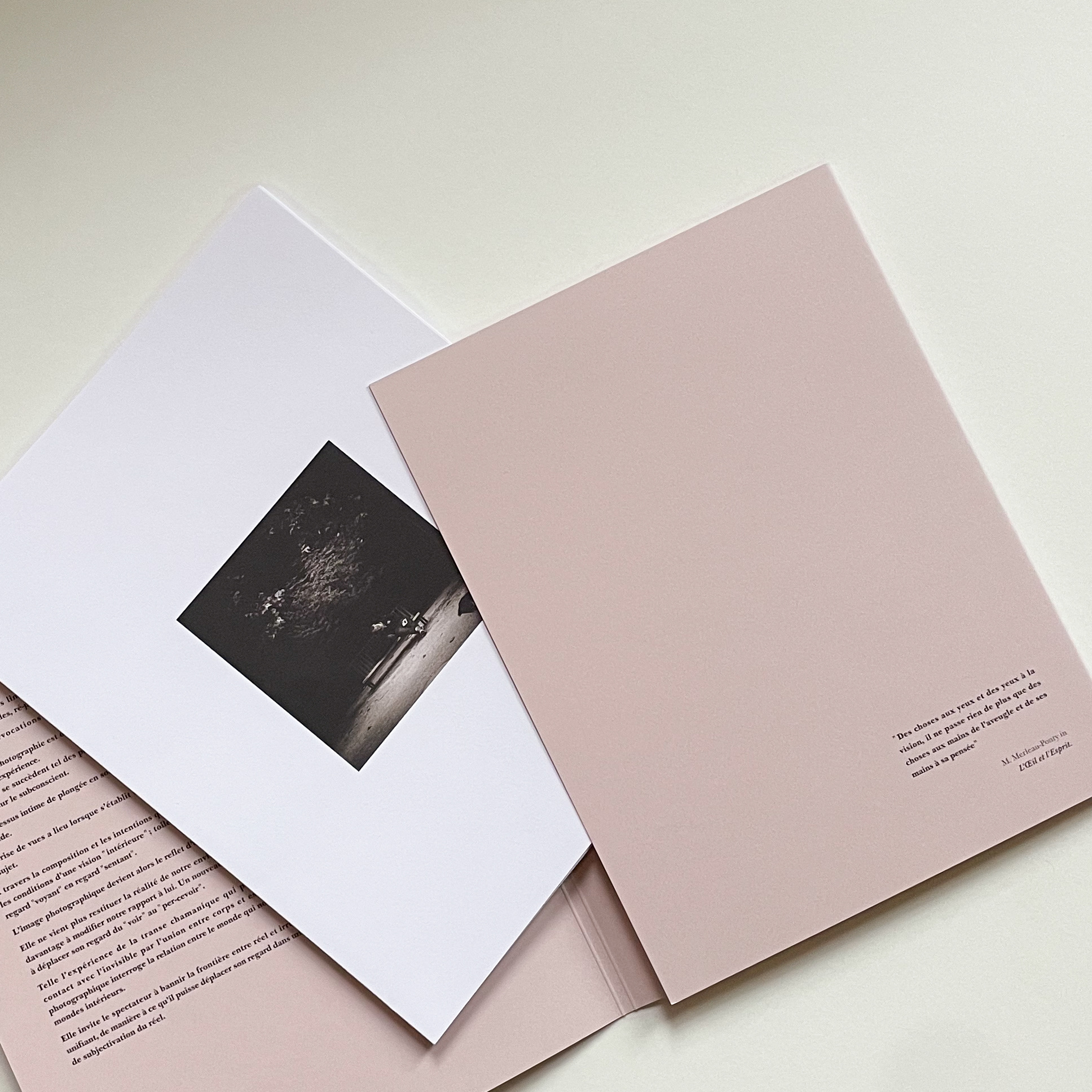 L’héraldique argentique de Fabrice Domenet, photographe – Le blog de ...