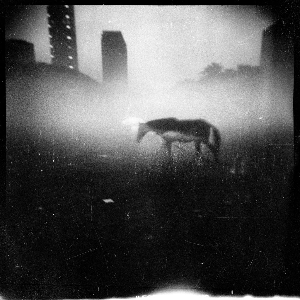 Un artiste de la faim, par Michael Ackerman, photographe – Le blog de ...