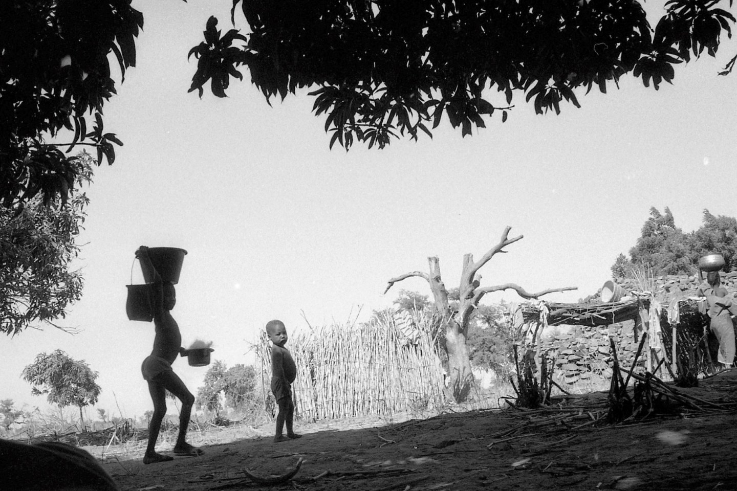 Impressions du Pays dogon, par Michel Castermans, photographe, et Joël ...